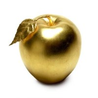 Apples of Gold – Like apples of gold in settings of silver, are words ...